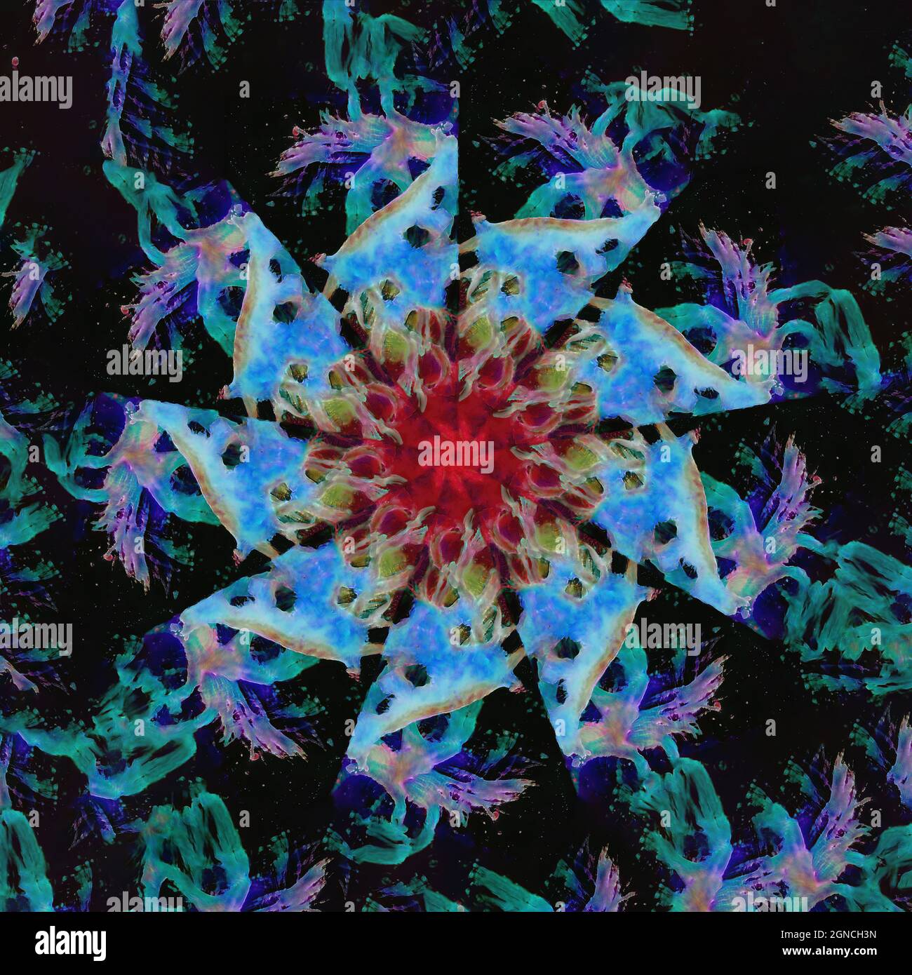 STP Screen Transfer Process - 311 - Neural Net 1 2 Mandala Stock Photo ...