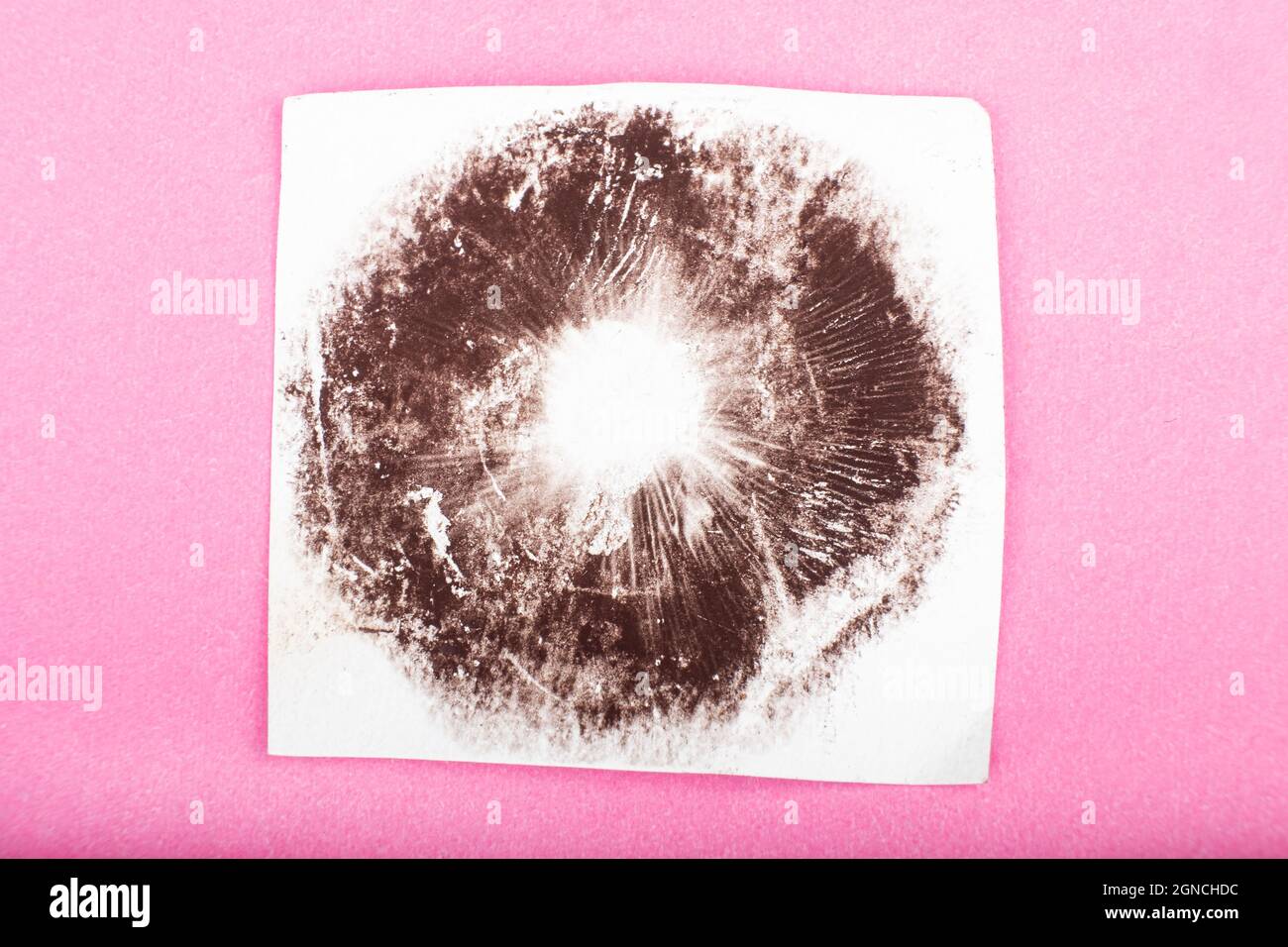 Mushroom spore print hi-res stock photography and images - Alamy