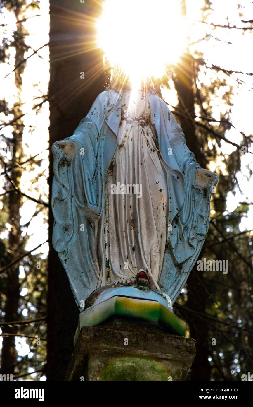 The statue of the Virgin Mary in the forest is shining of sun´s rays ...