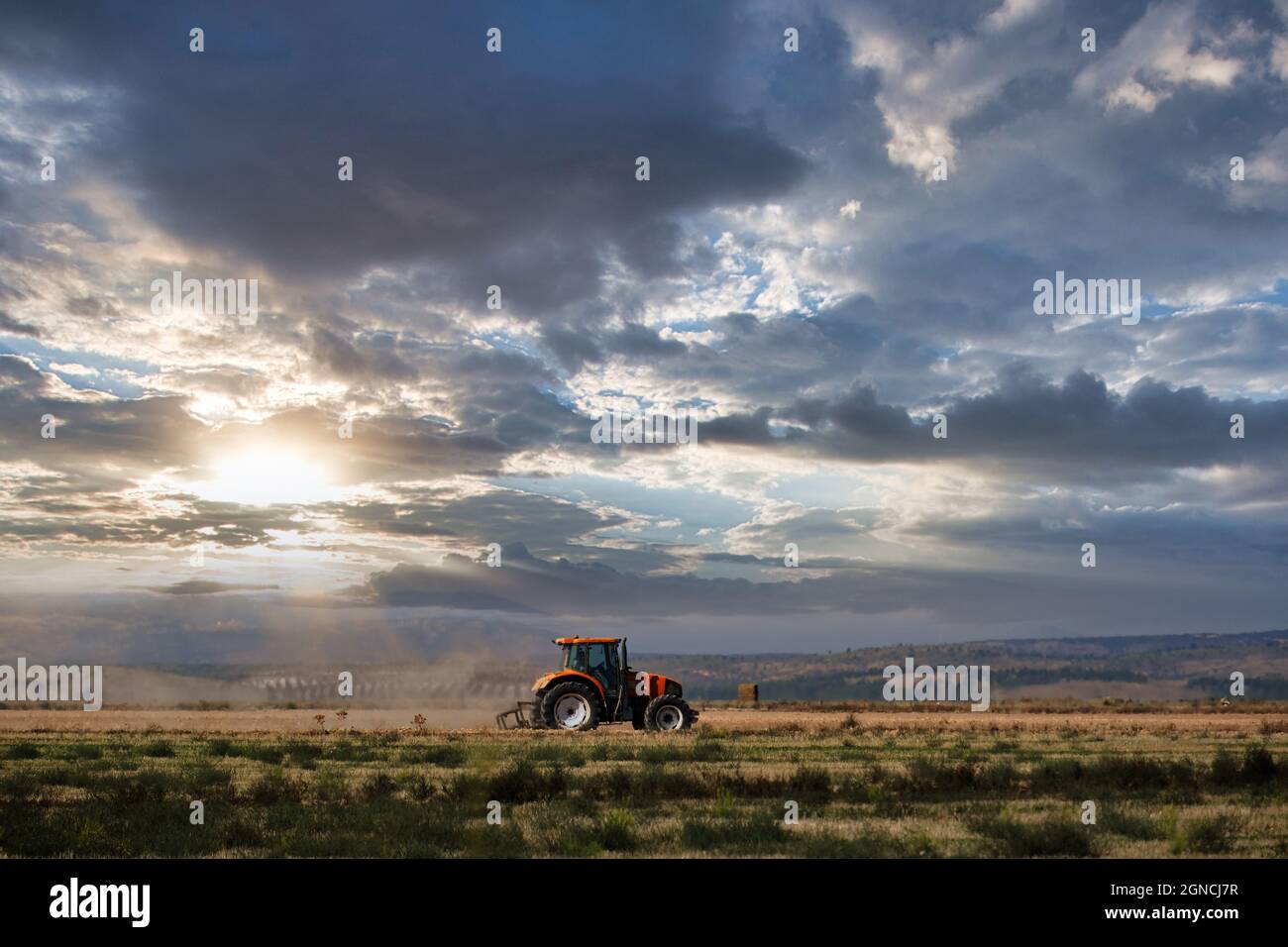 Combine harvester on soybean field hi-res stock photography and images ...