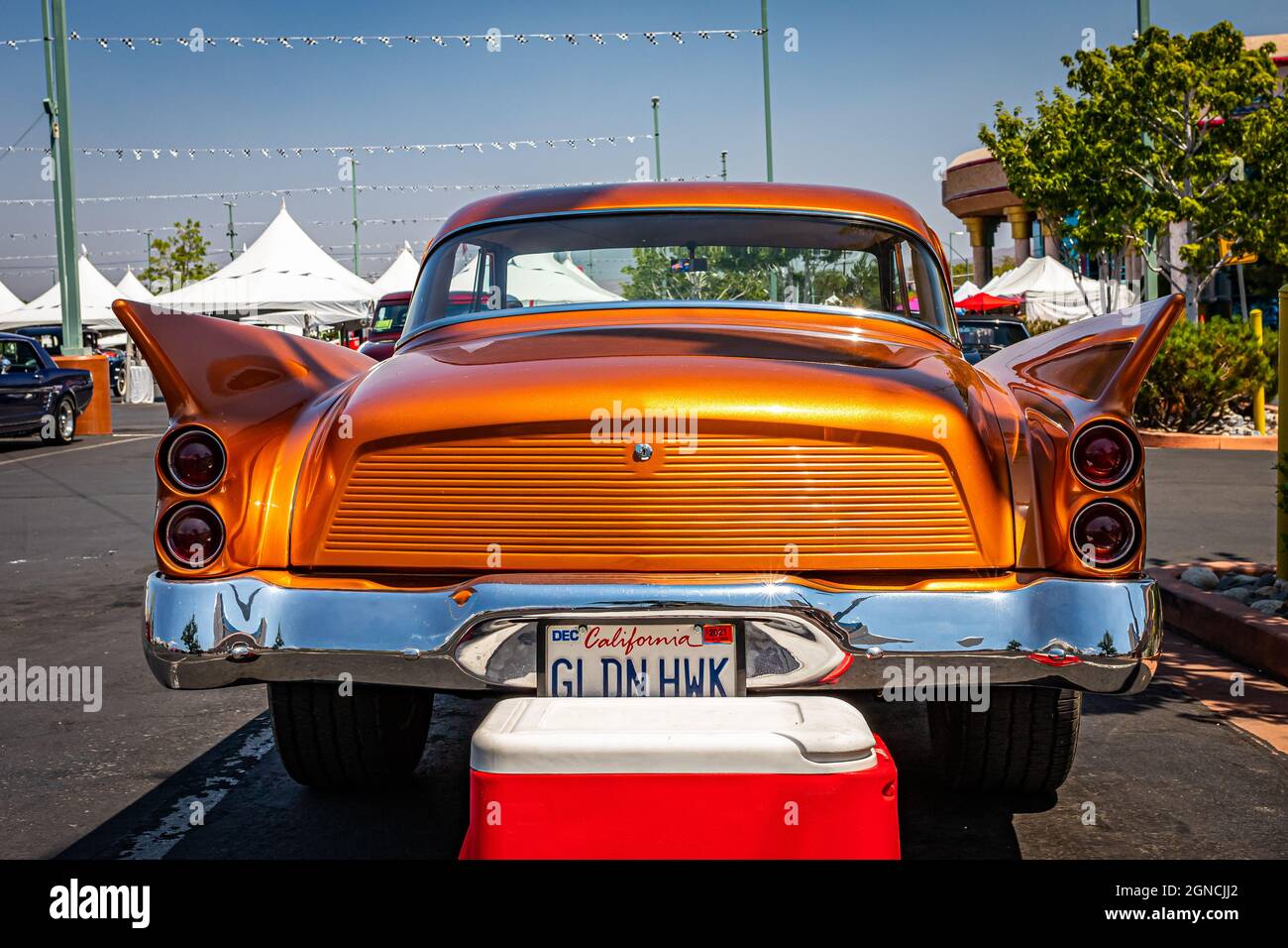 Golden hawk hi-res stock photography and images - Alamy