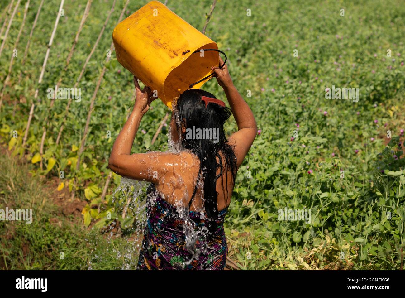 Shan State, Myanmar - Jan 05, 2020: Portrait of a Burmese woman, taking ...