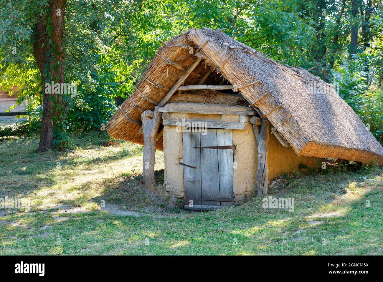 An ancient clay cellar with a thatched roof in the summer garden of a ...