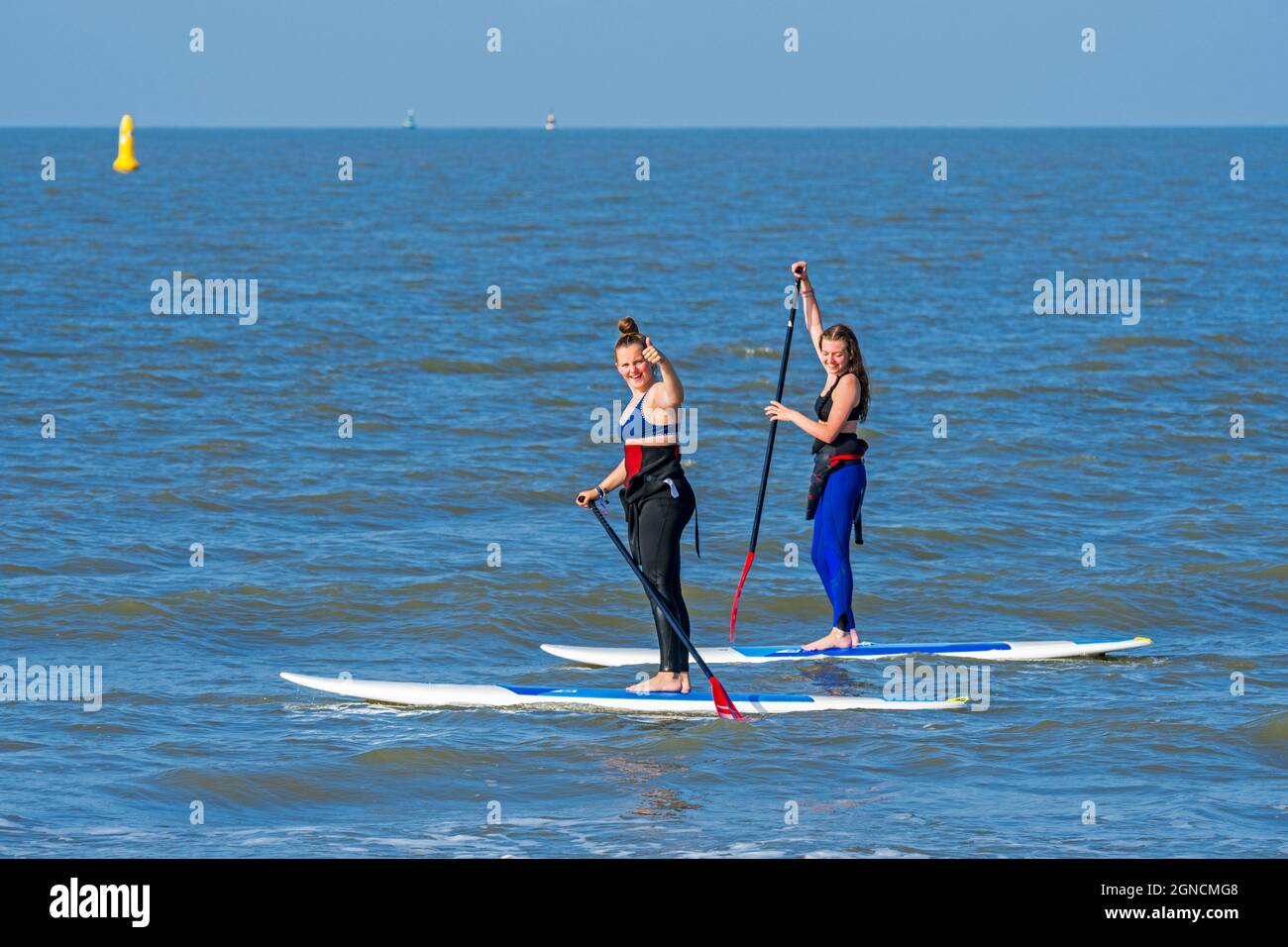 Two female paddleboarders practicing the water sport standup paddleboarding / stand up paddle ...