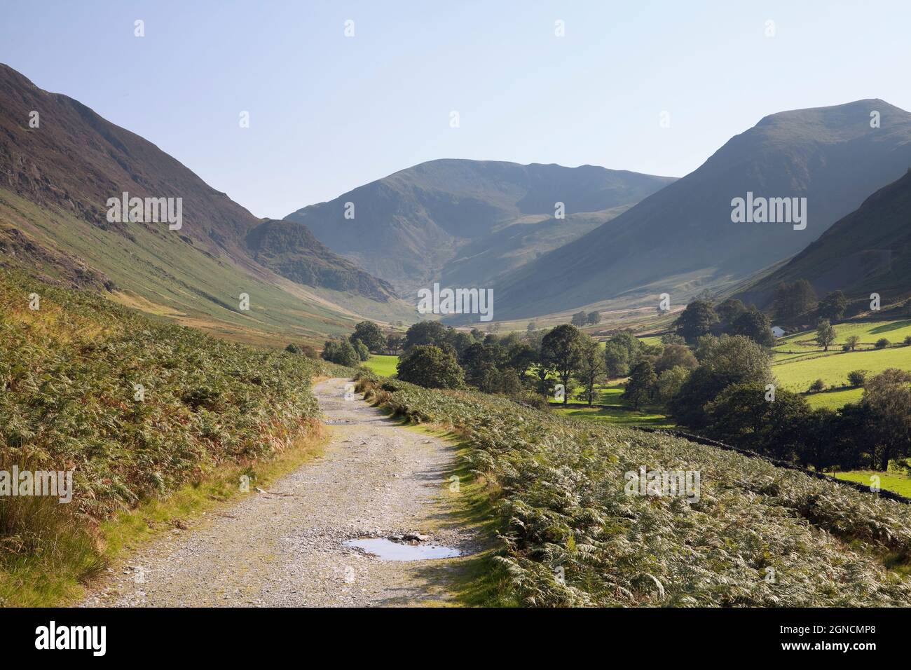 Summer newlands valley hi-res stock photography and images - Alamy
