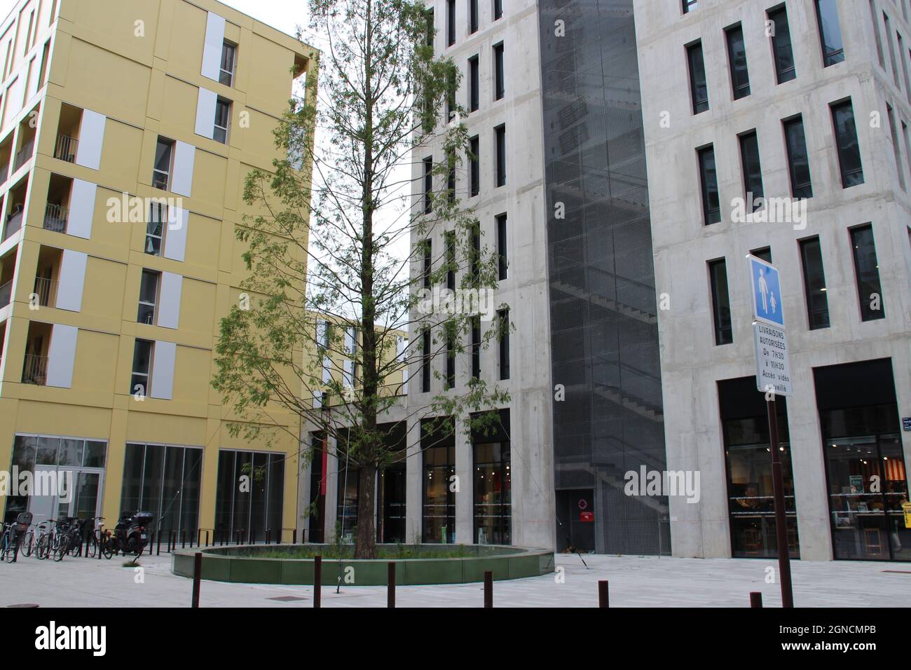 tree and flat buildings in nantes in france Stock Photo - Alamy
