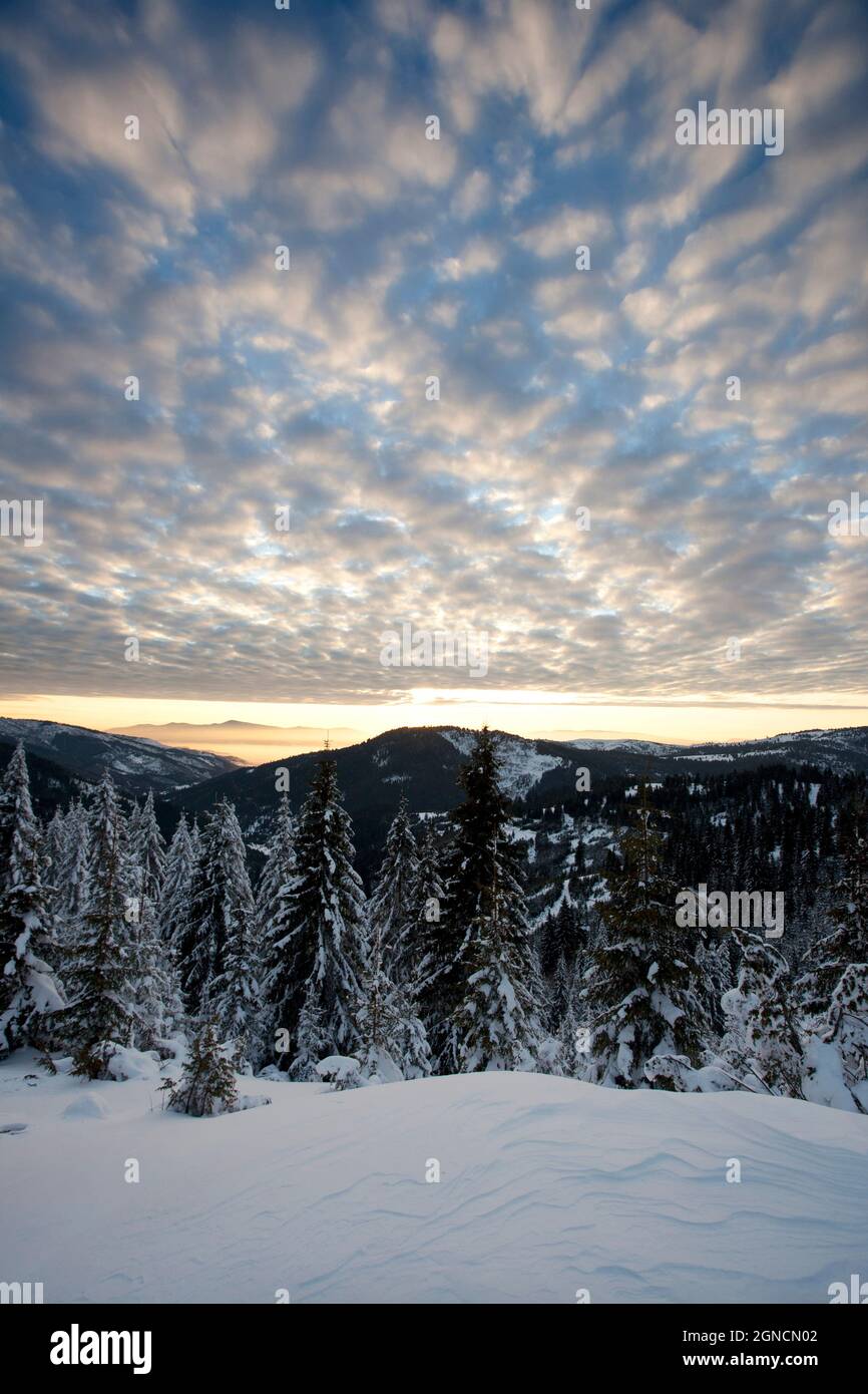 Austere landscape hi-res stock photography and images - Alamy