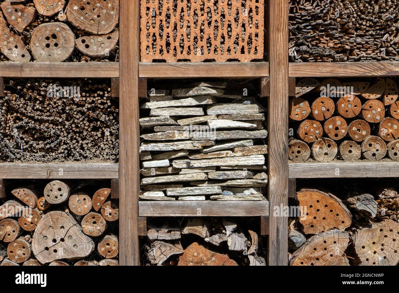 Home for insects hi-res stock photography and images - Alamy