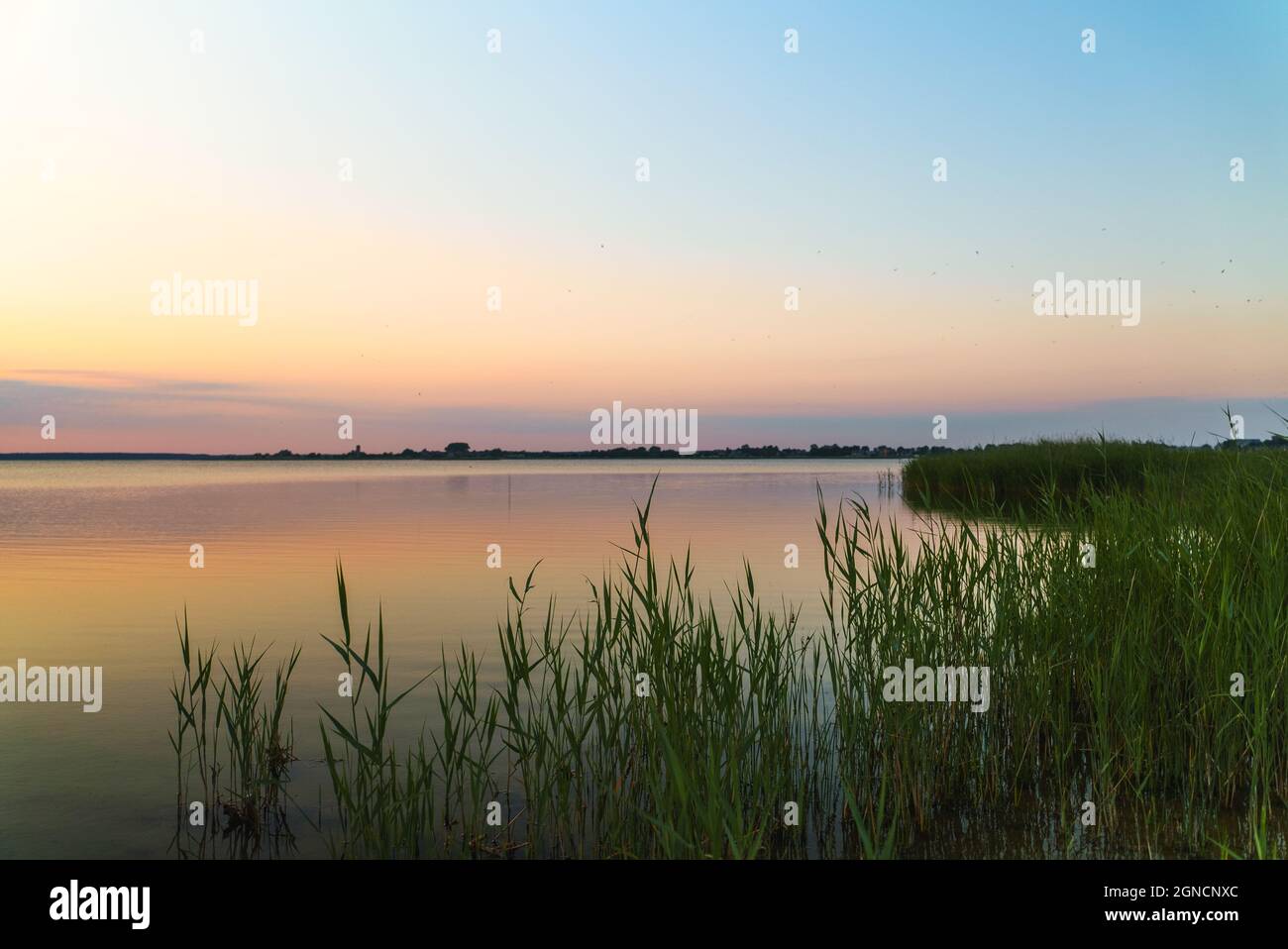 Estonia Haapsalu Beach High Resolution Stock Photography and Images - Alamy