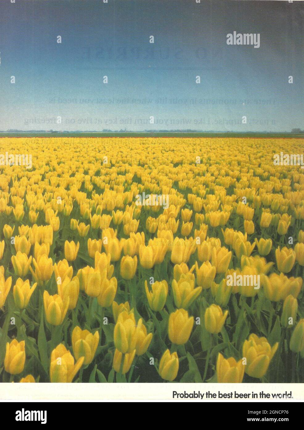 Vintage advertisement of Carlsberg beer Probably the best beer in the ...