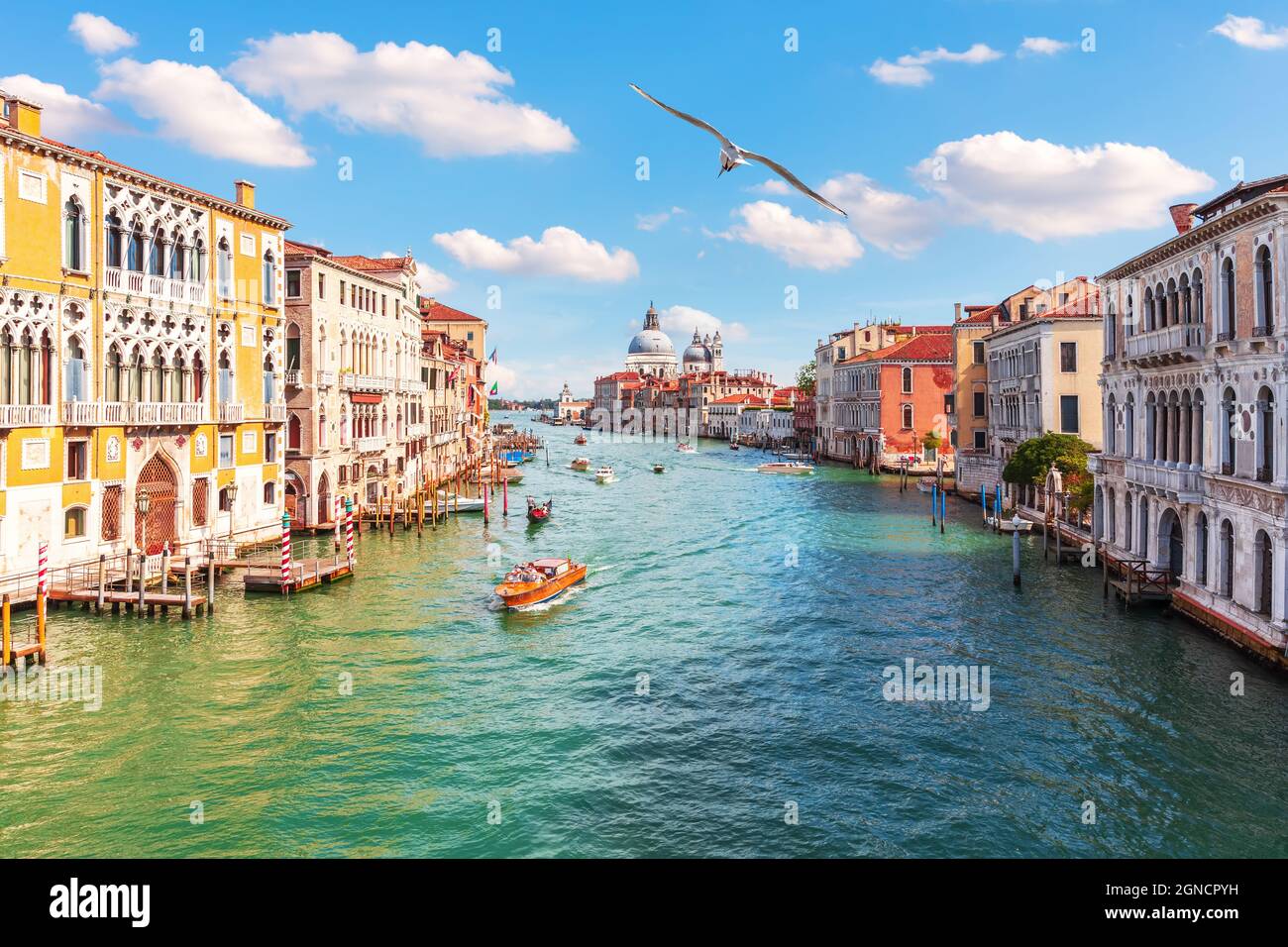 Grand Canal of Venice, view of the Lagoon near Santa Maria della Salute ...
