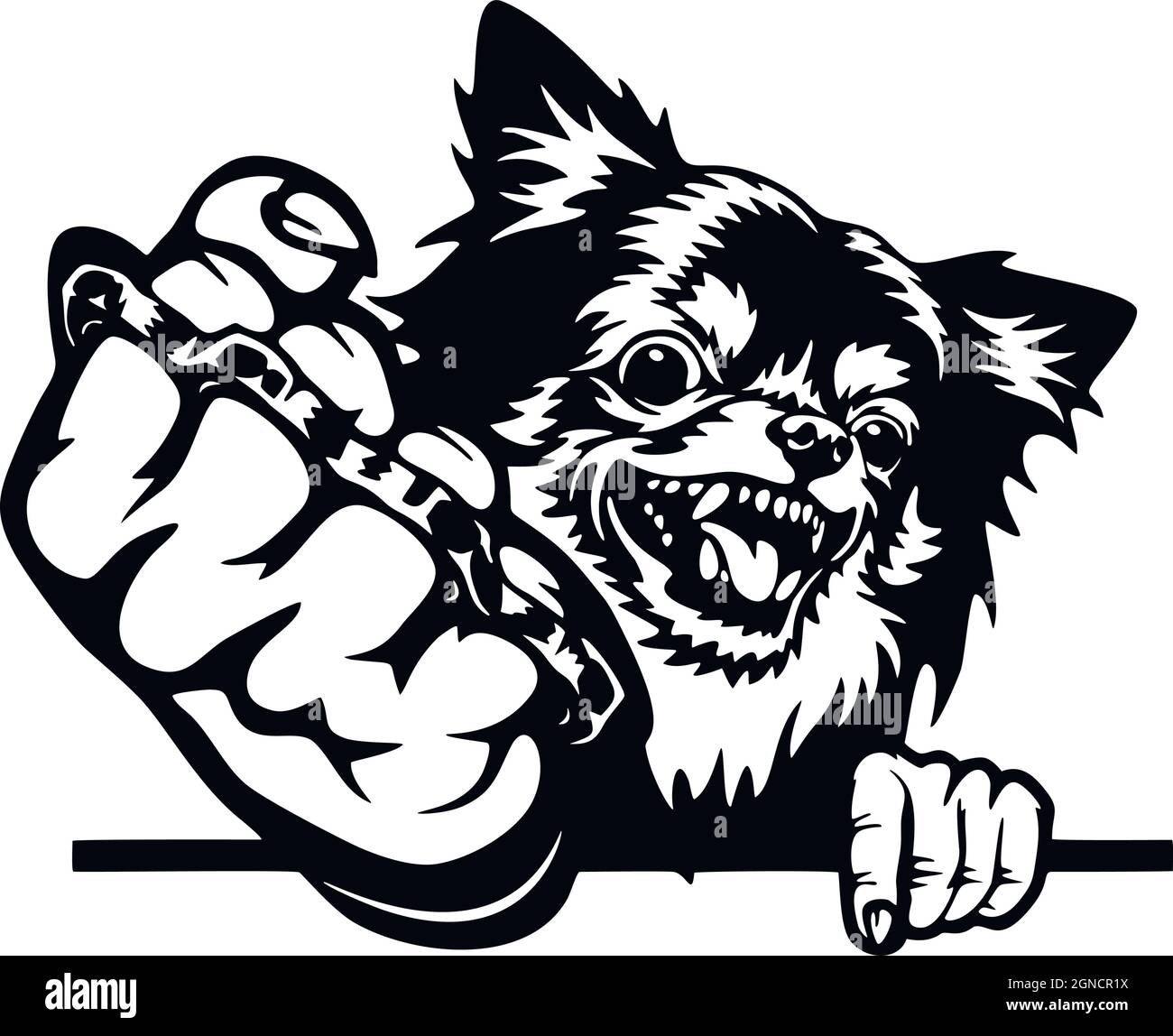 Angry Chihuahua - bad dog with gun - vector stencil. Head of dog with ...