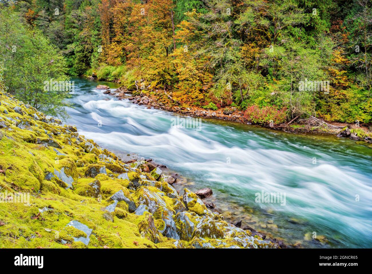 Skagit River in North Cascades National Park, Washington state, USA ...