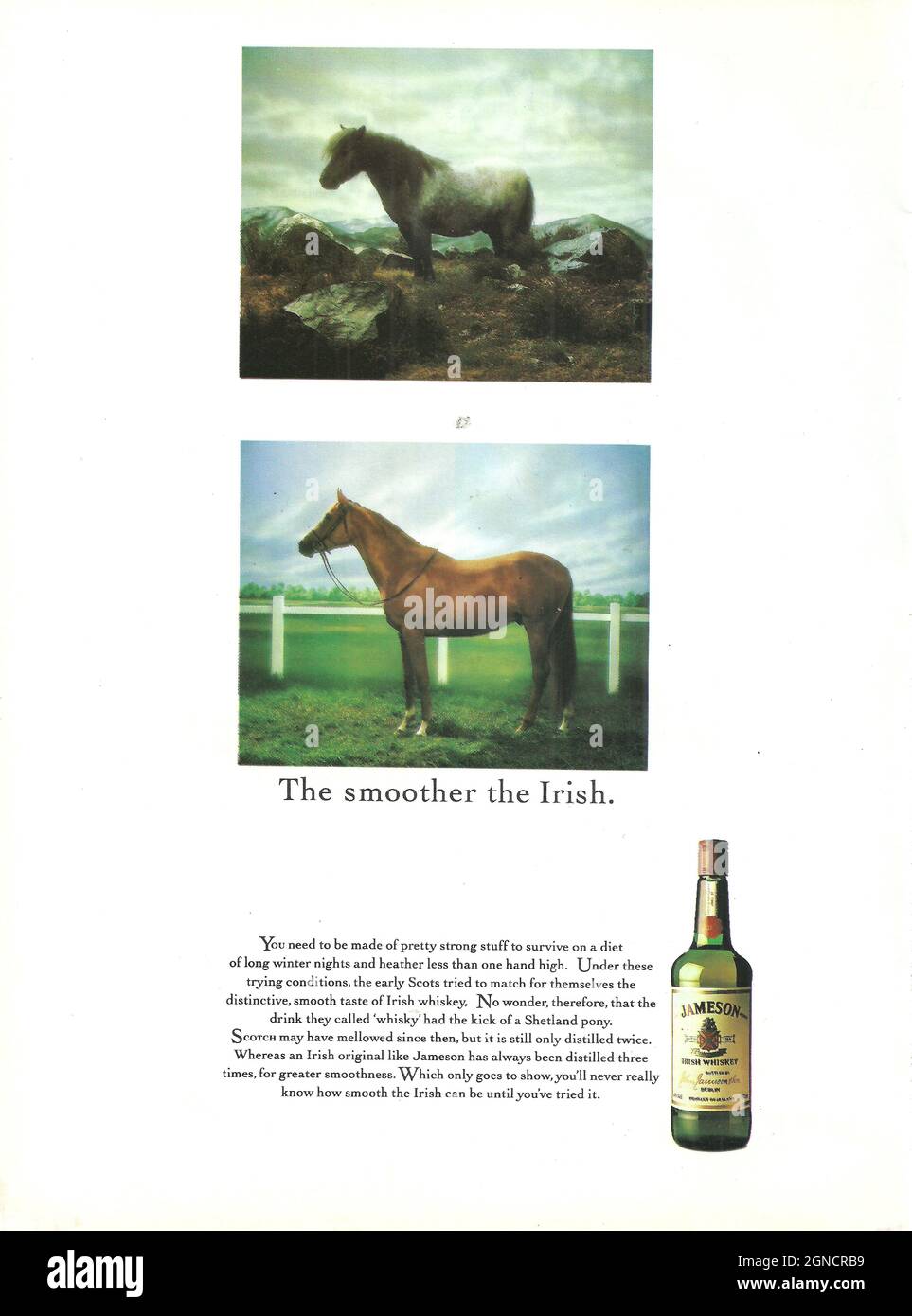Jameson premium Irish whiskey whisky vintage advert advertisement ad ...
