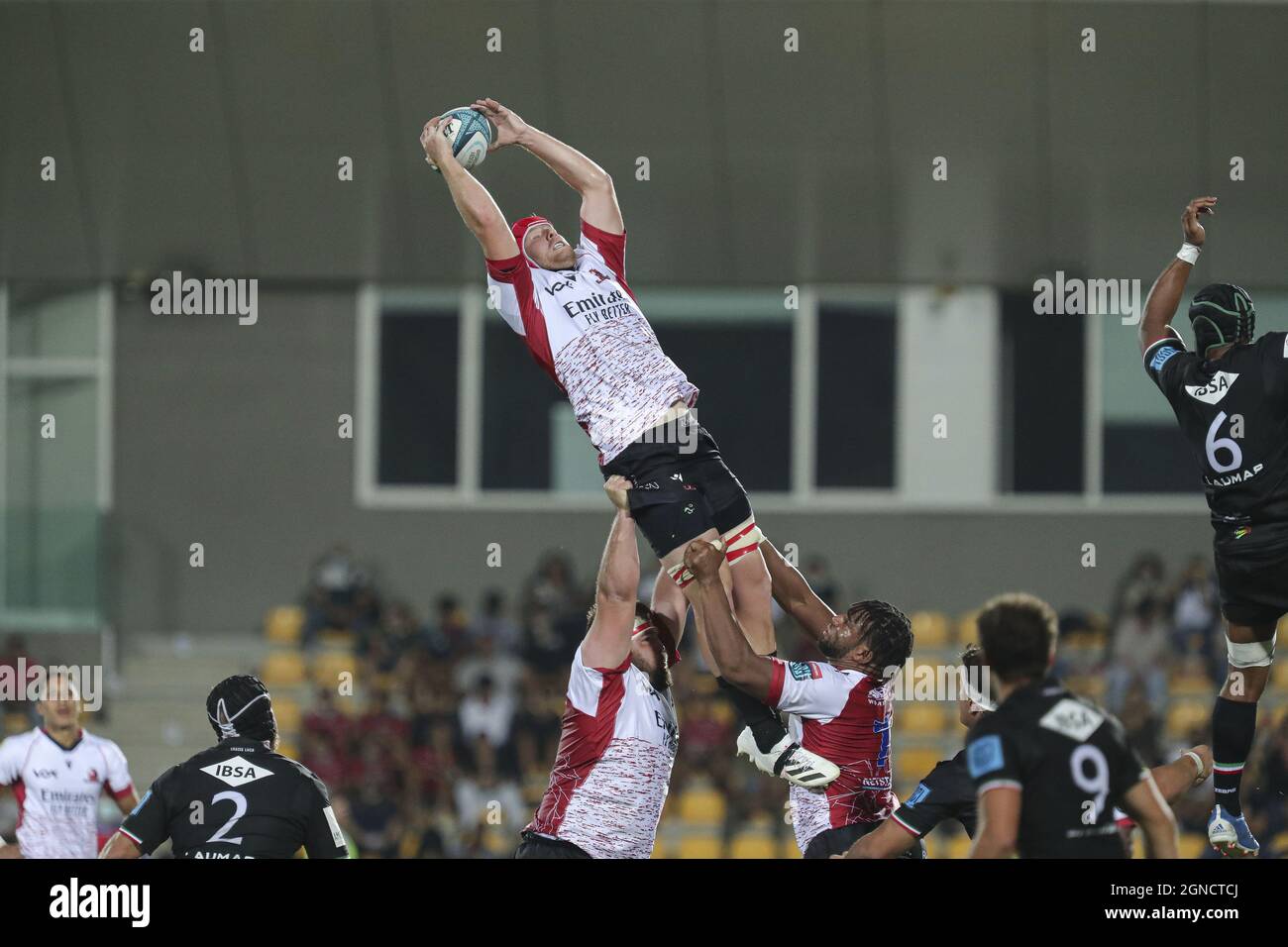 Francke horn lions hi-res stock photography and images - Alamy