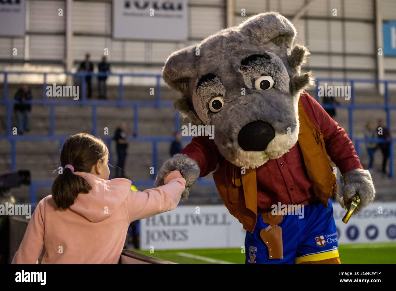 Wolfie, The Warrington Wolves mascot gives a fist bump to a young fan ...