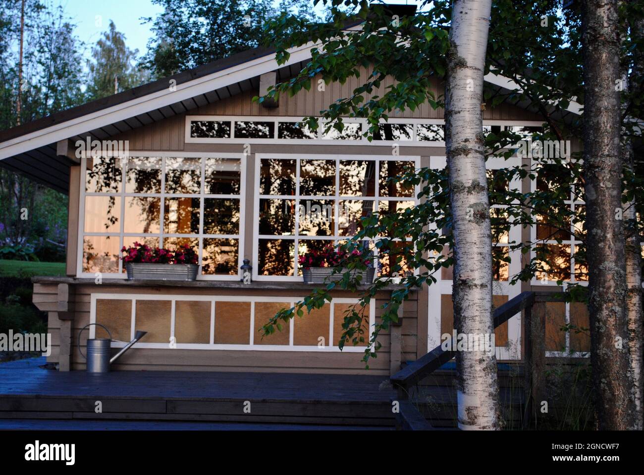 Finnish lakeside cottage surrounded by birch trees in sunset in Karelia ...