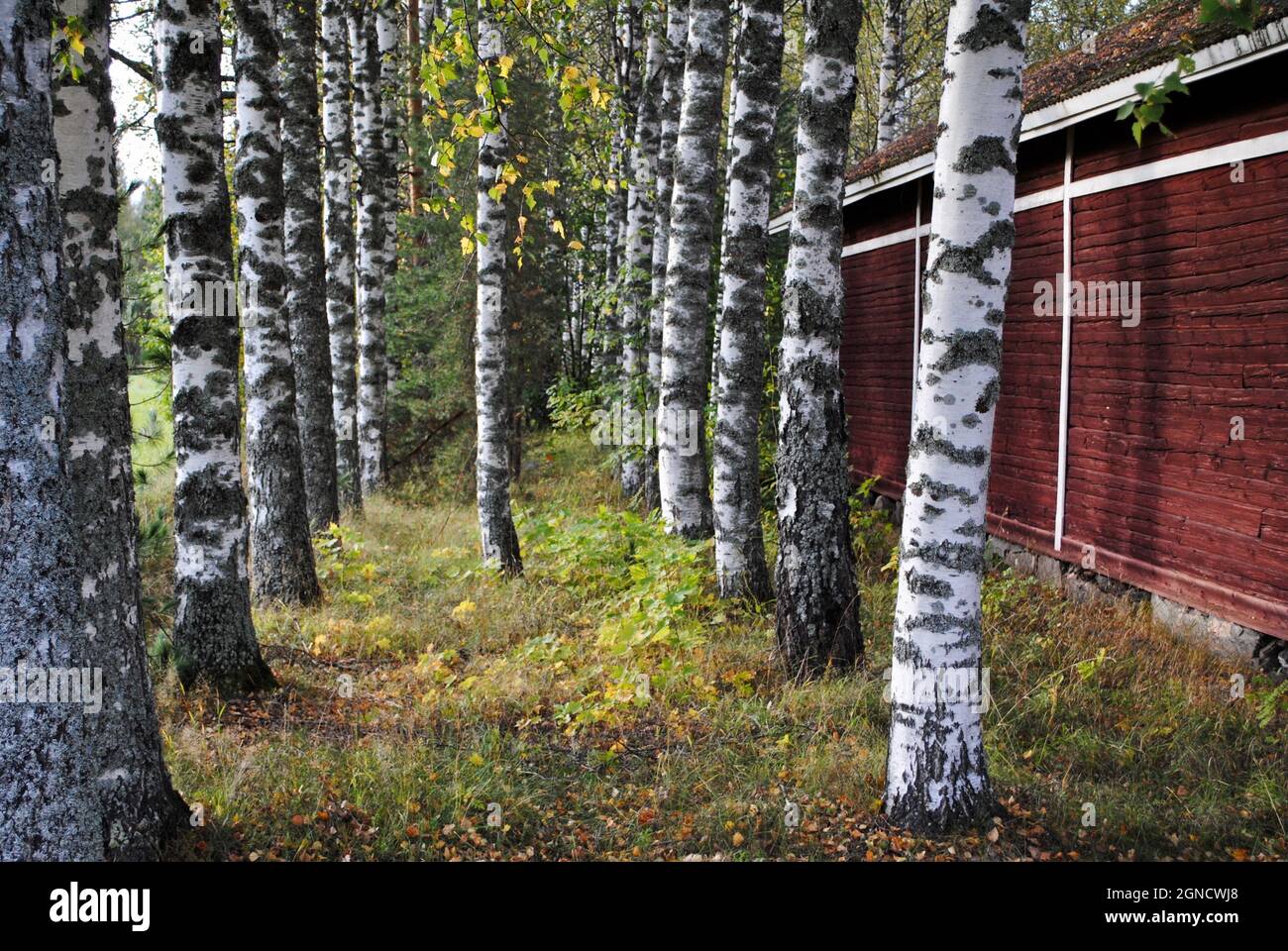 Red barn photos hi-res stock photography and images - Alamy