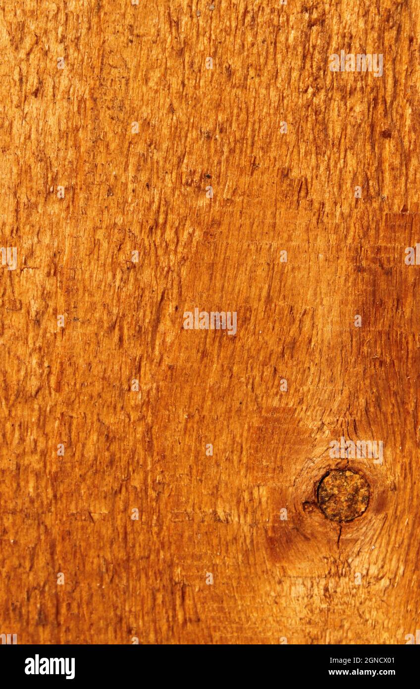 pine wood grain in a pleasant brown color Stock Photo - Alamy