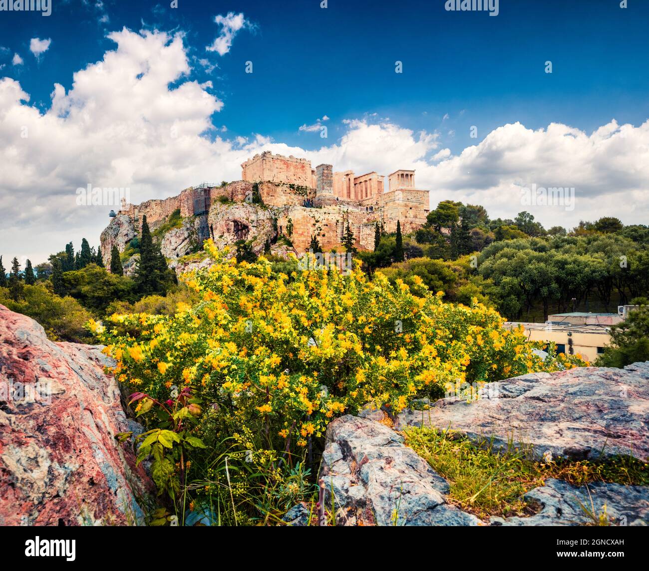 Great spring view of Parthenon, former temple, on the Athenian ...