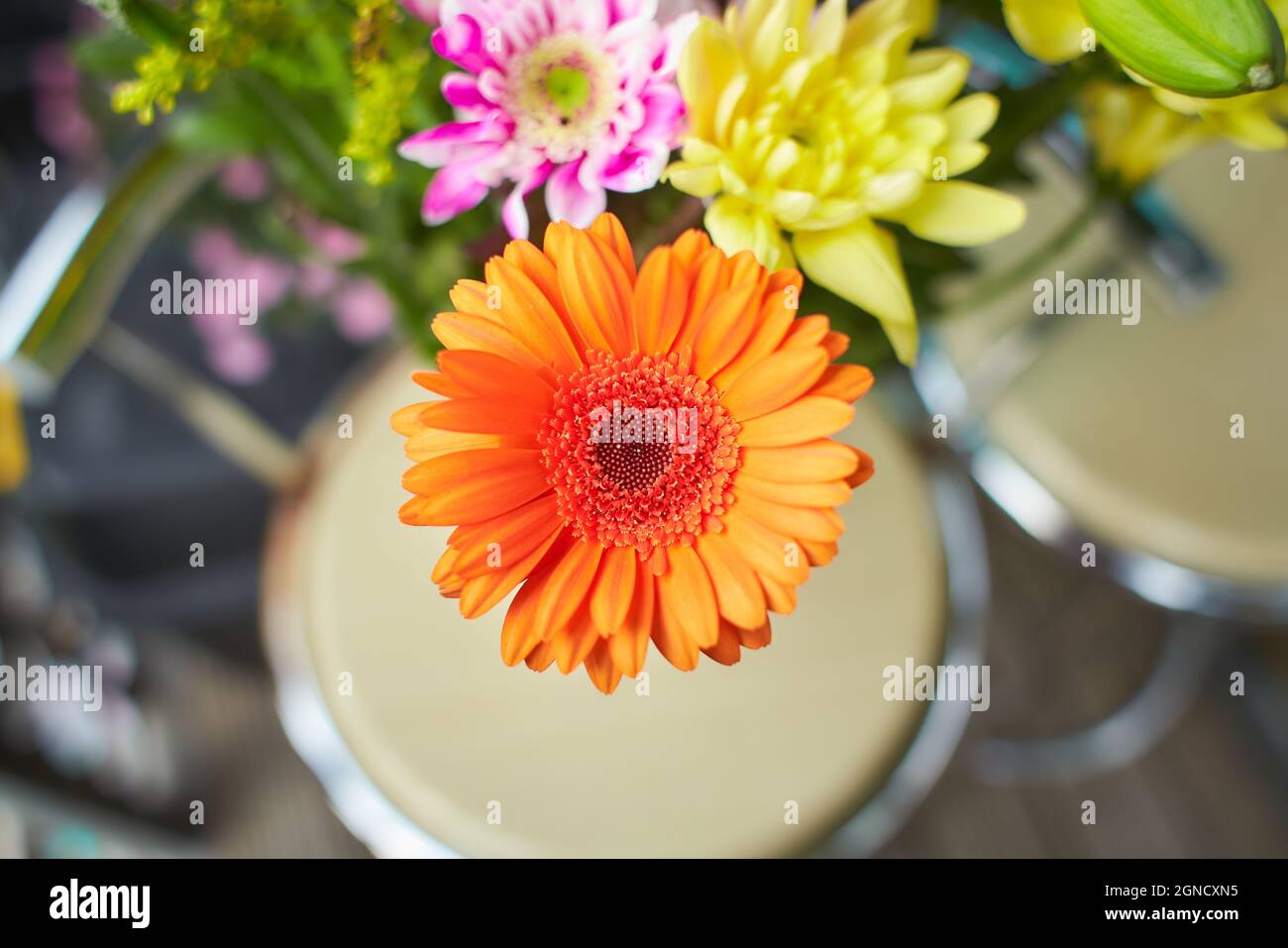 Flower bed yellow daisy hi-res stock photography and images - Alamy