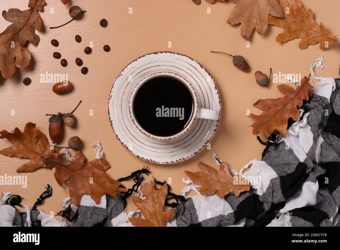 Acorn coffee with fall oak leaves and checkered scarf on beige ...