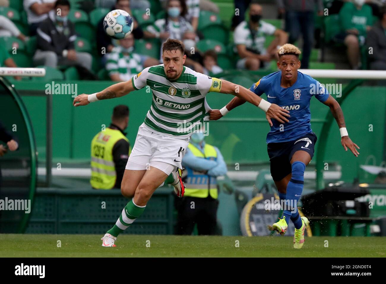 Andre vidigal maritimo hi-res stock photography and images - Alamy