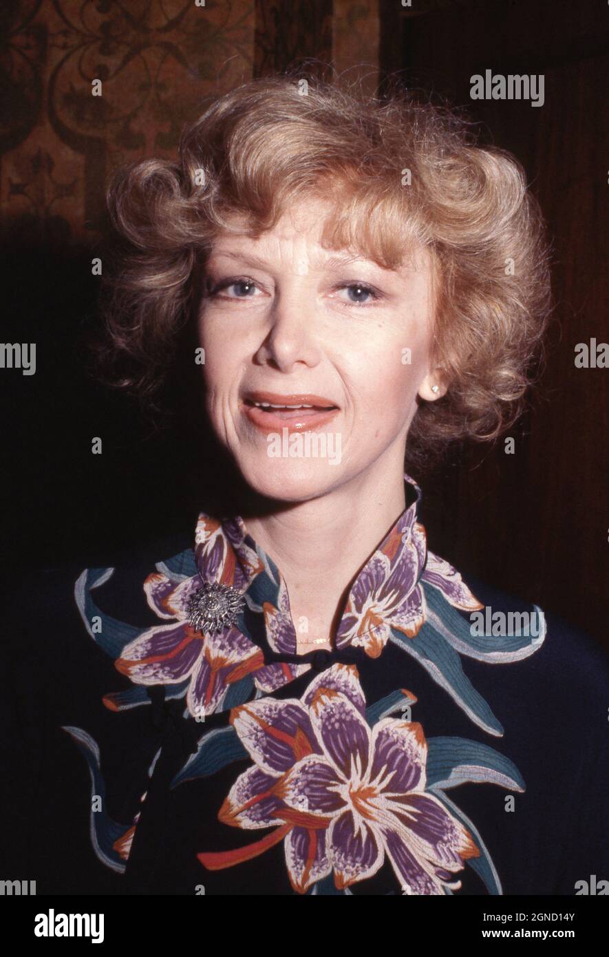 Catherine Damon Circa 1980's . Credit: Ralph Dominguez/MediaPunch Stock ...