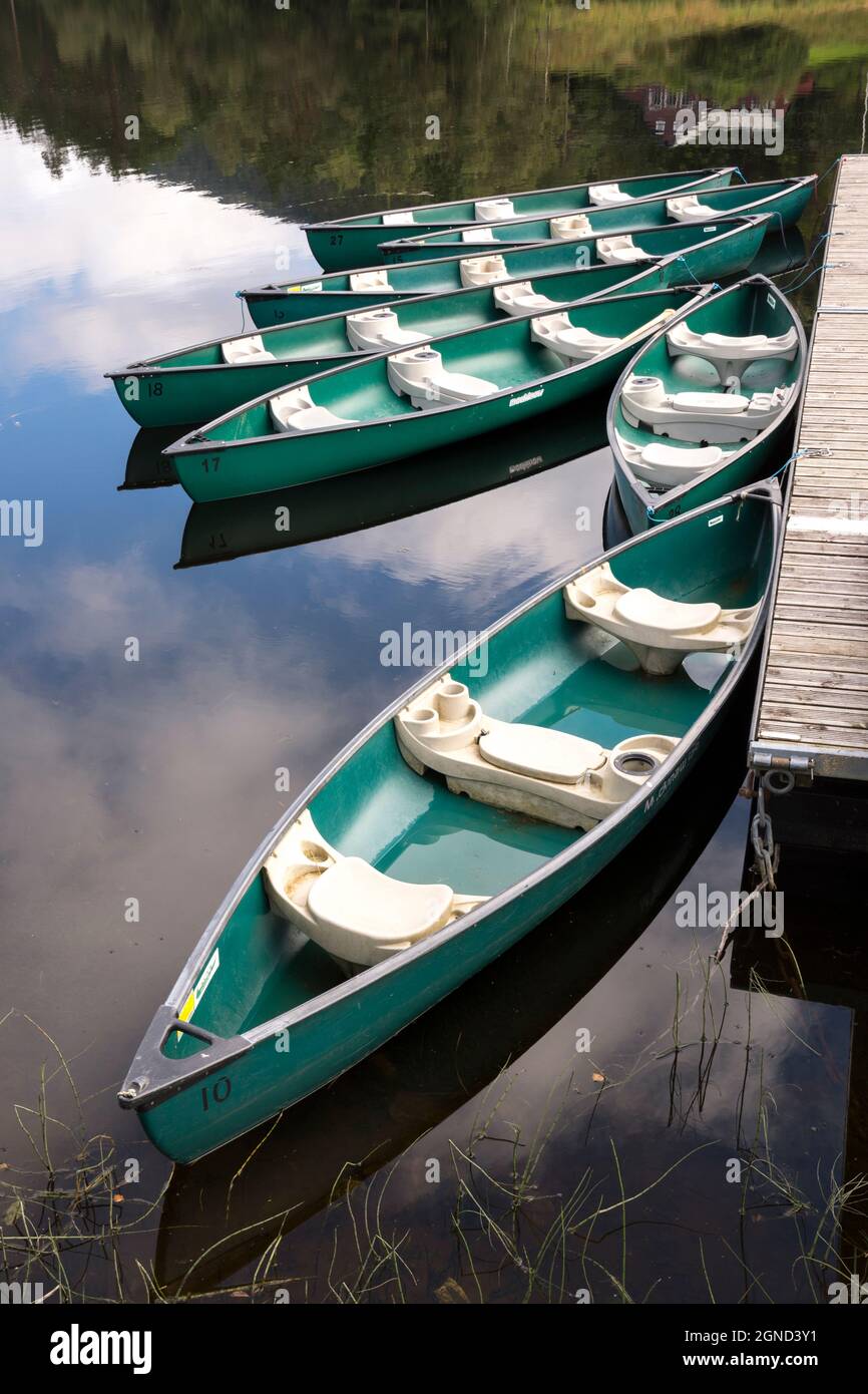 canoe ride on lake Osoyro in Norway Stock Photo - Alamy