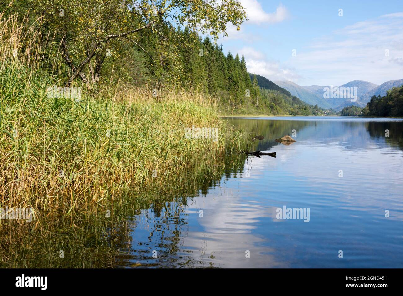 canoe ride on lake Osoyro in Norway Stock Photo - Alamy