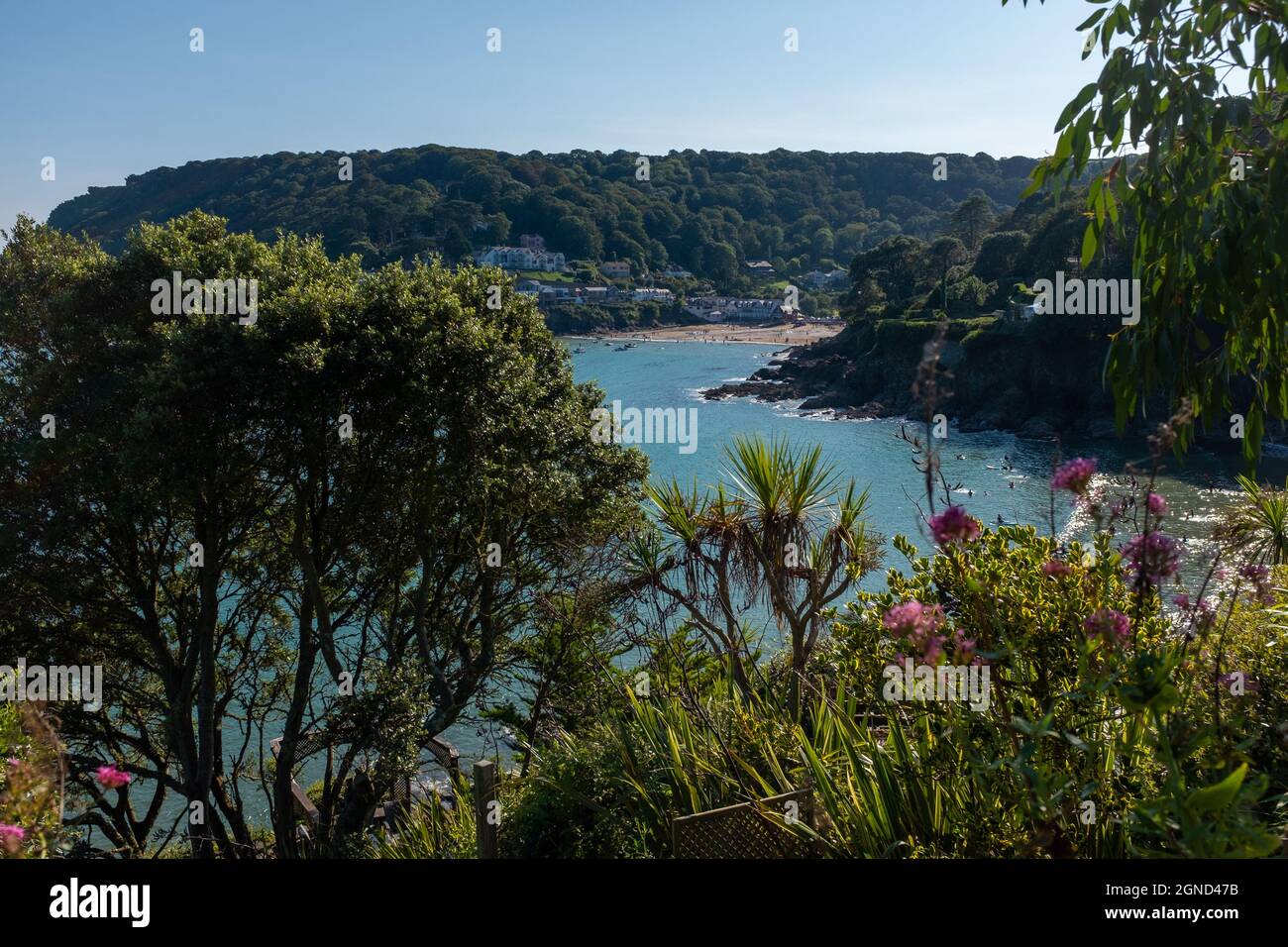 View of busy South Sands beach, Salcombe, from the coast road between ...