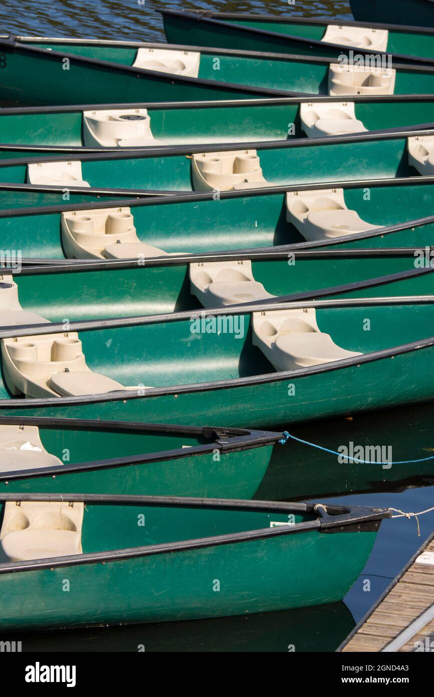 canoe ride on lake Osoyro in Norway Stock Photo - Alamy