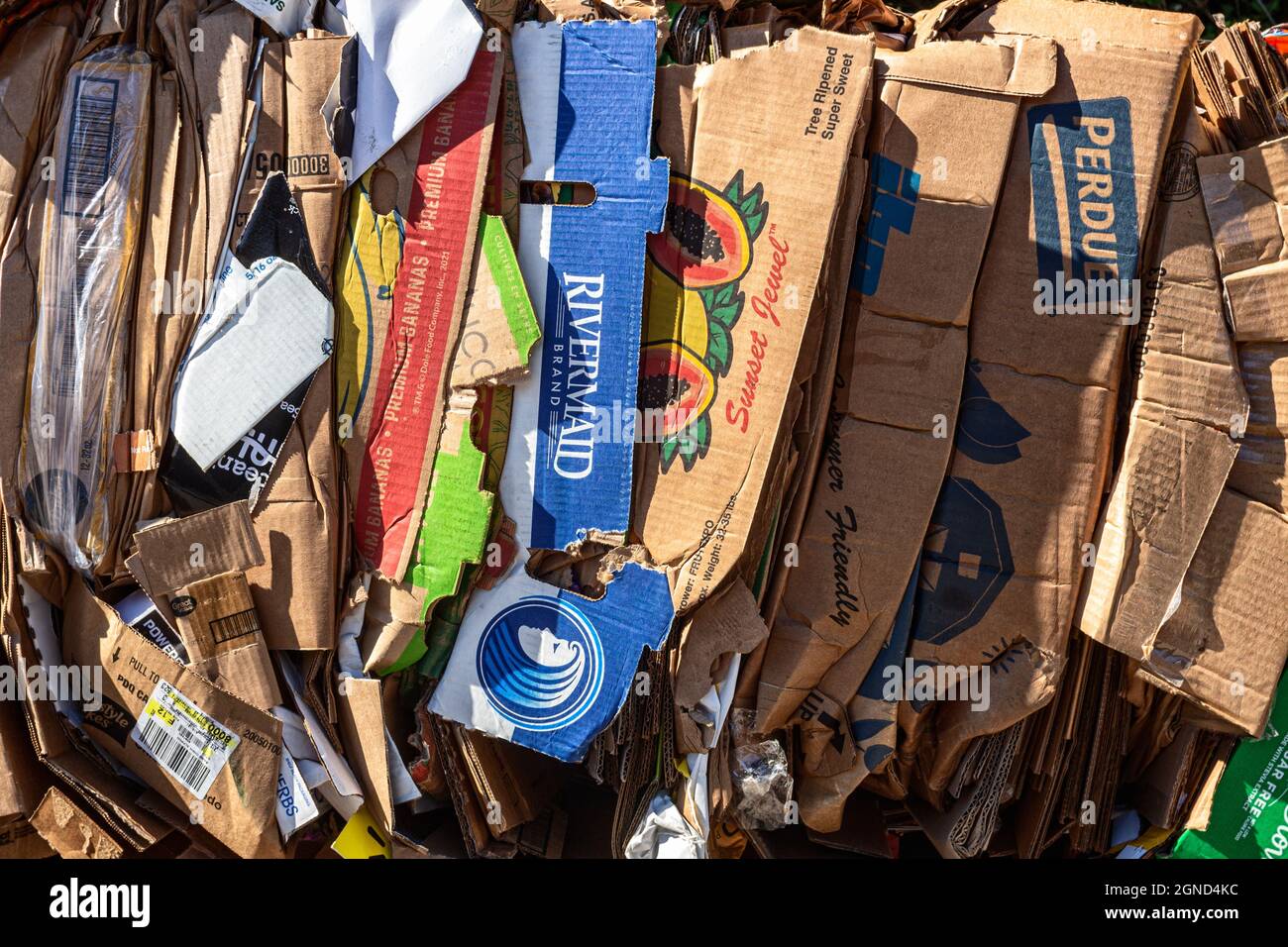 Folded cardboard boxes behind a big box chain store Stock Photo - Alamy