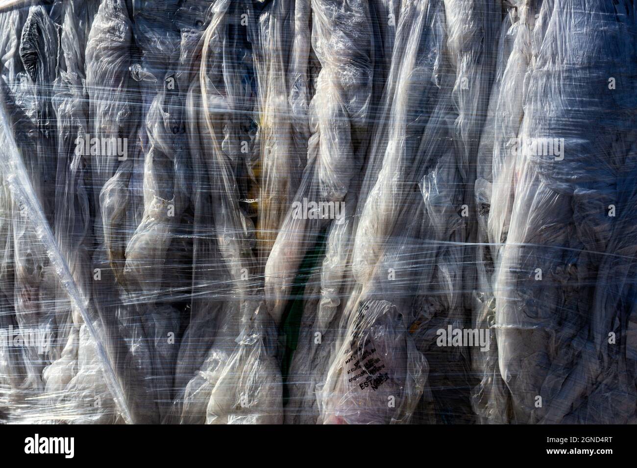 Plastic bags and other trash behind a big box chain store Stock Photo ...