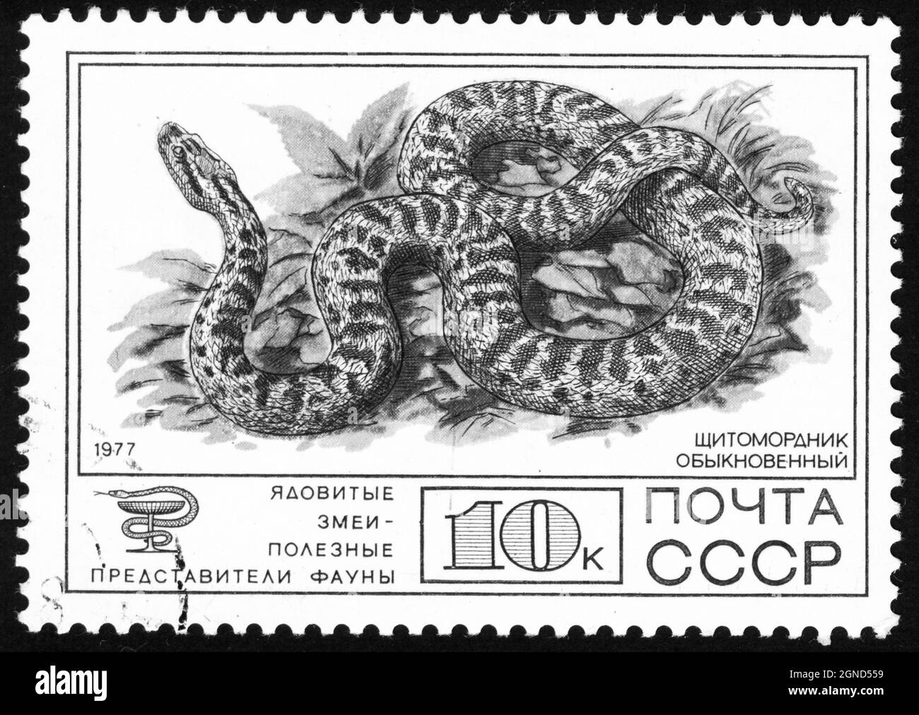 Stamp print in USSR,animals,snakes Stock Photo - Alamy