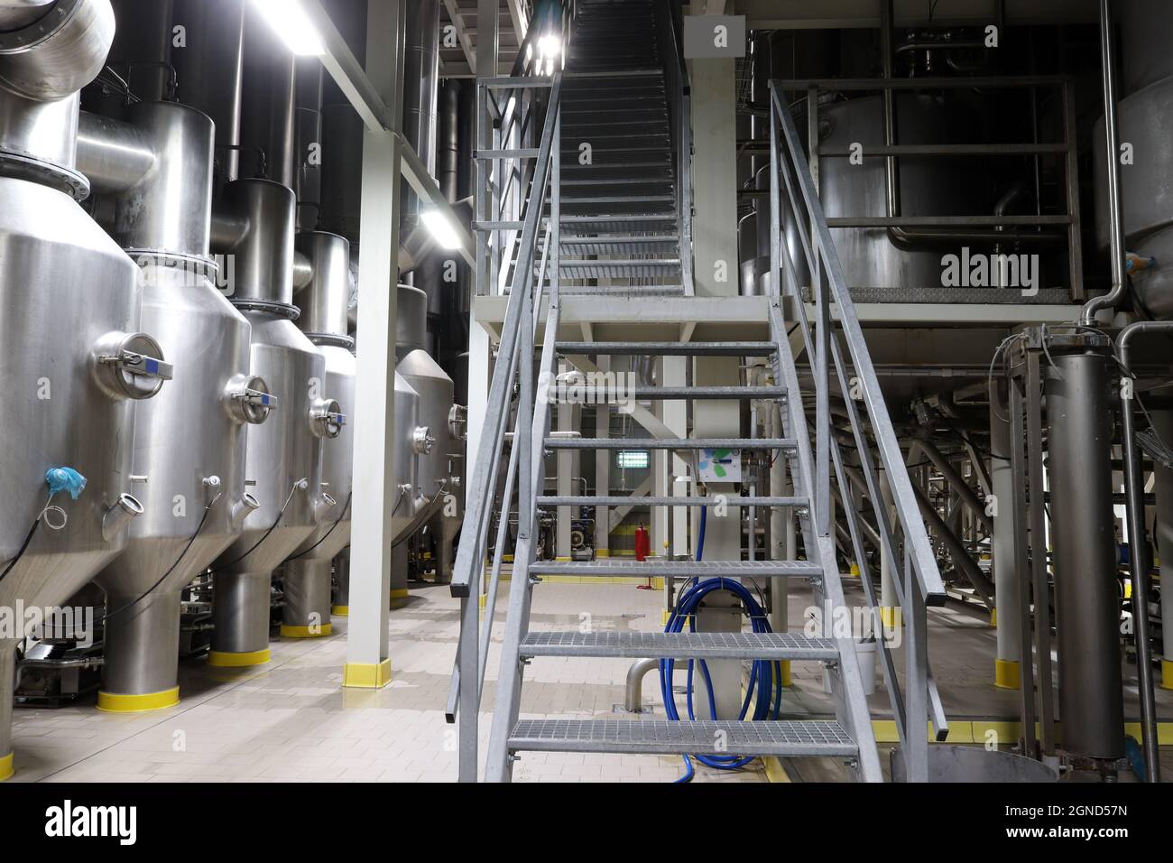 Inside the dairy factory. Food processing plant Stock Photo - Alamy