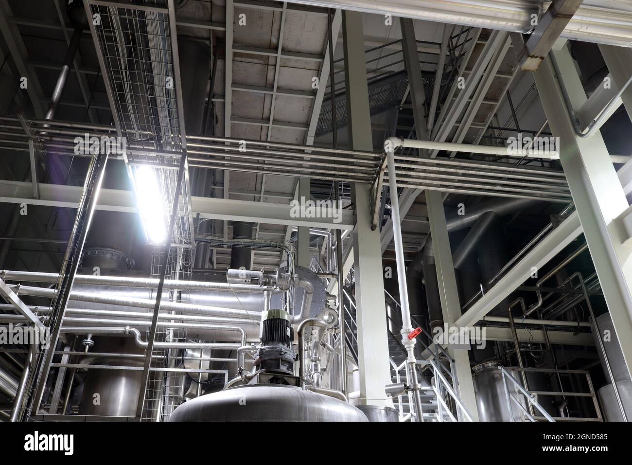 Inside the dairy factory. Food processing plant Stock Photo - Alamy
