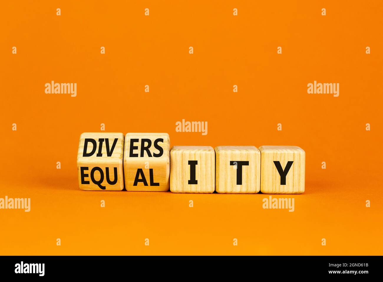 Diversity and equality symbol. Turned wooden cubes and changed the word ...