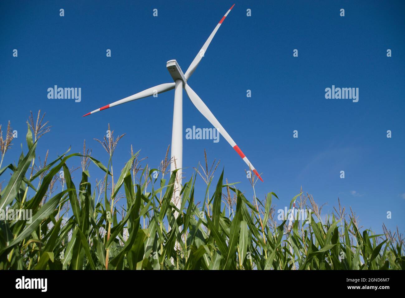 Erneuerbare energien windkraft hi-res stock photography and images - Alamy