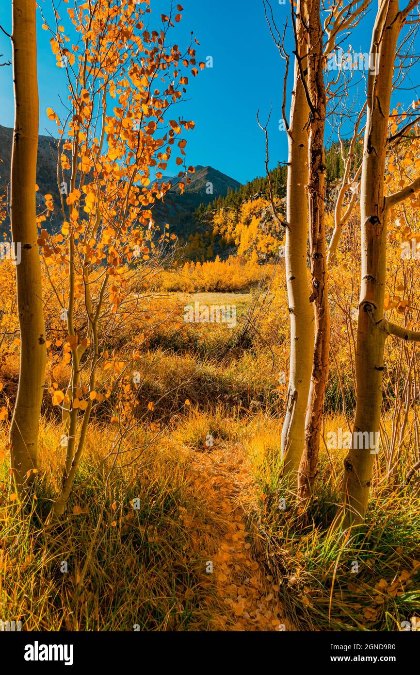 Pathway leads to creek hi-res stock photography and images - Alamy