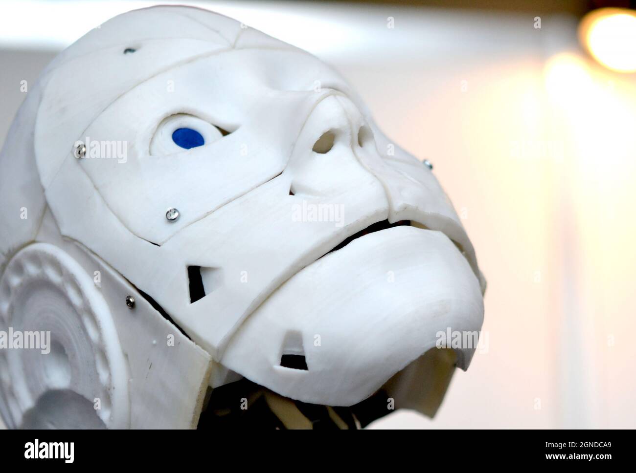 Terminator robot hi-res stock photography and images - Alamy