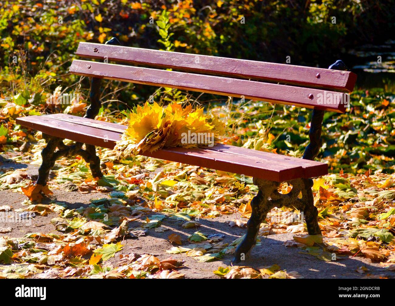 bench in the park Stock Photo - Alamy