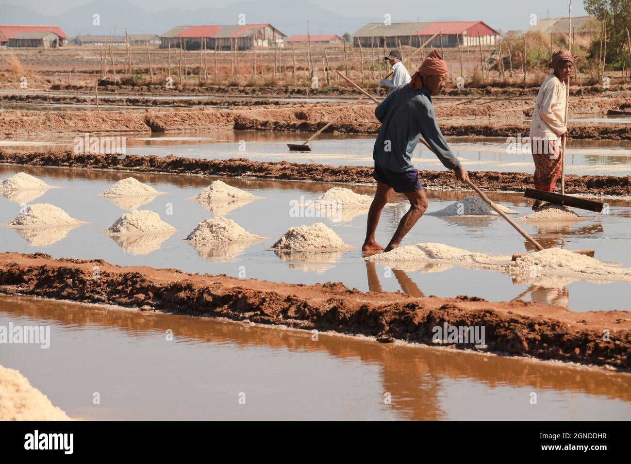 KAMPOT, CAMBODIA - Jan 24, 2020: Khmer people harvesting salt manually ...