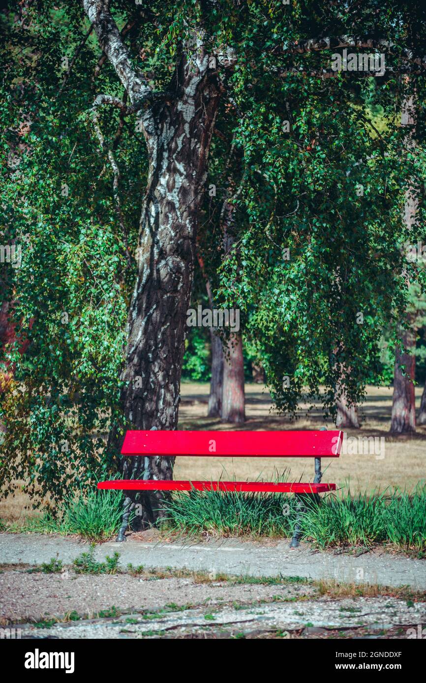 Bench in the park Stock Photo - Alamy