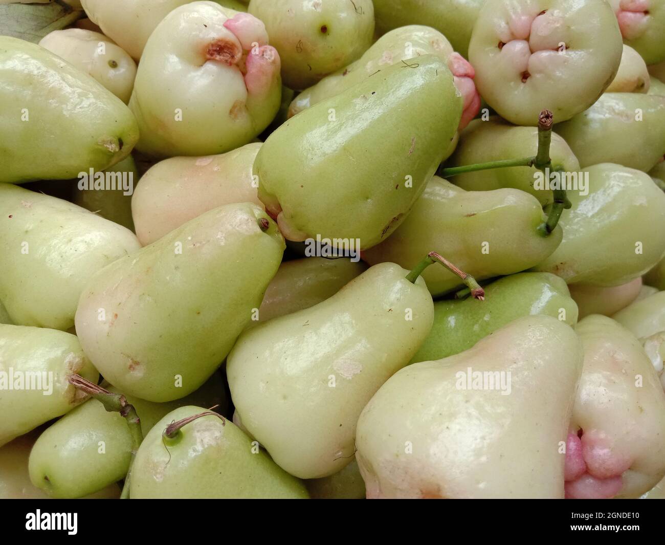 Green java apple hi-res stock photography and images - Alamy