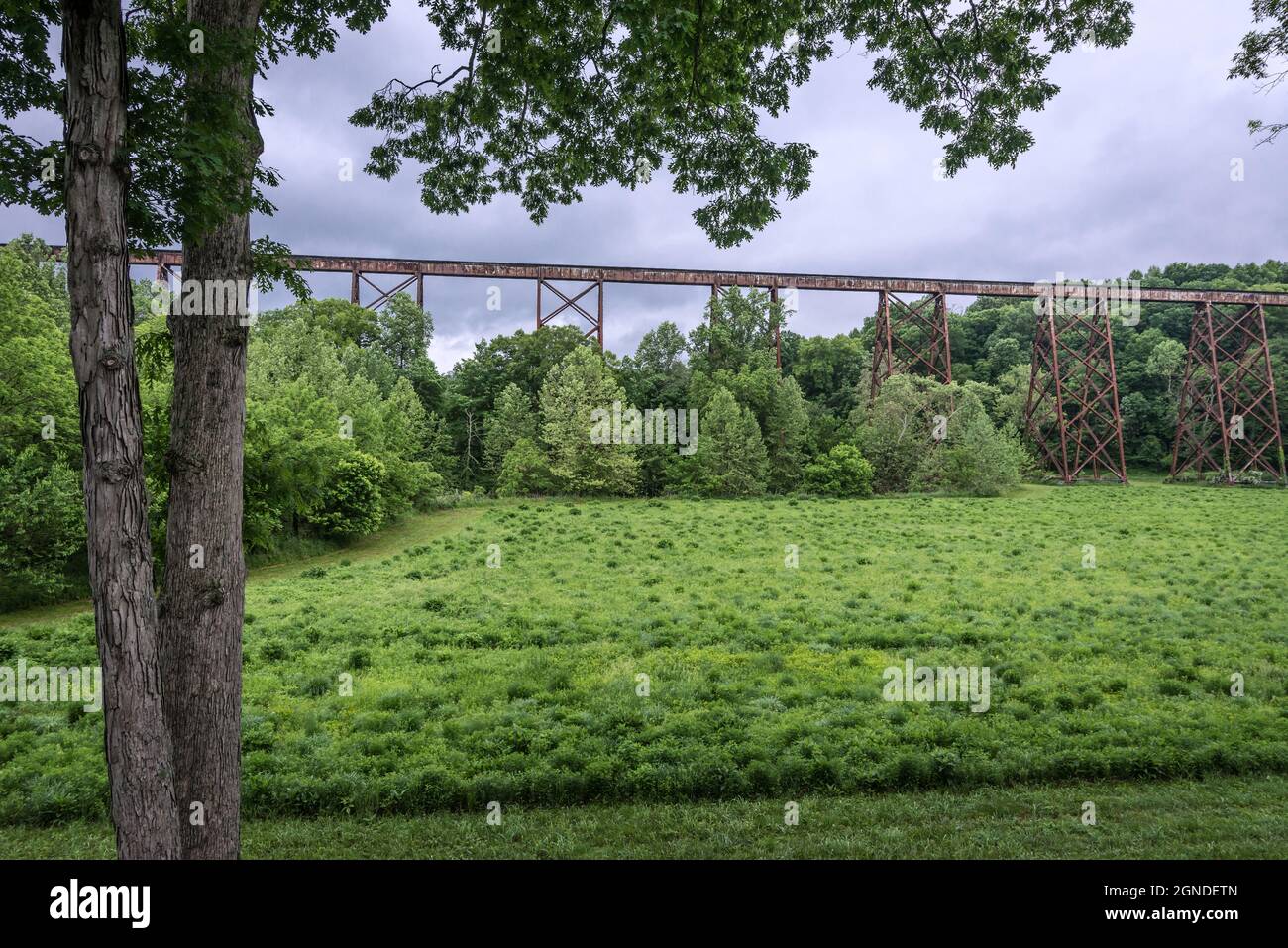 Tulip Viaduct High Resolution Stock Photography and Images - Alamy