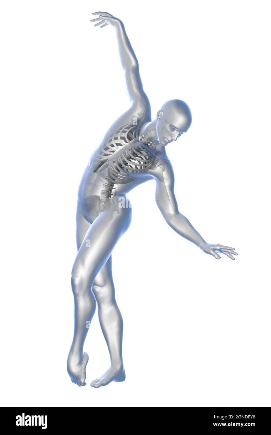 Body art human anatomy hi-res stock photography and images - Alamy