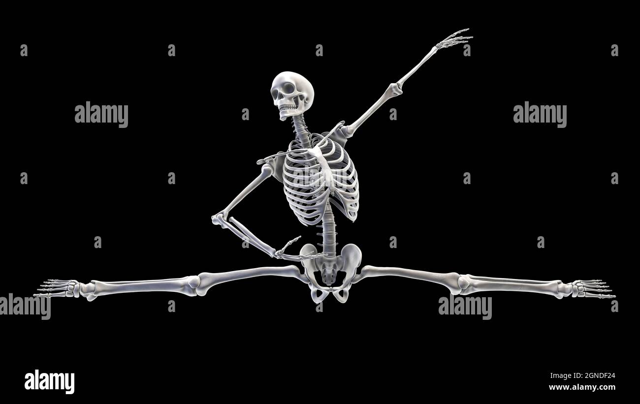 Anatomy of a dancer hi-res stock photography and images - Alamy