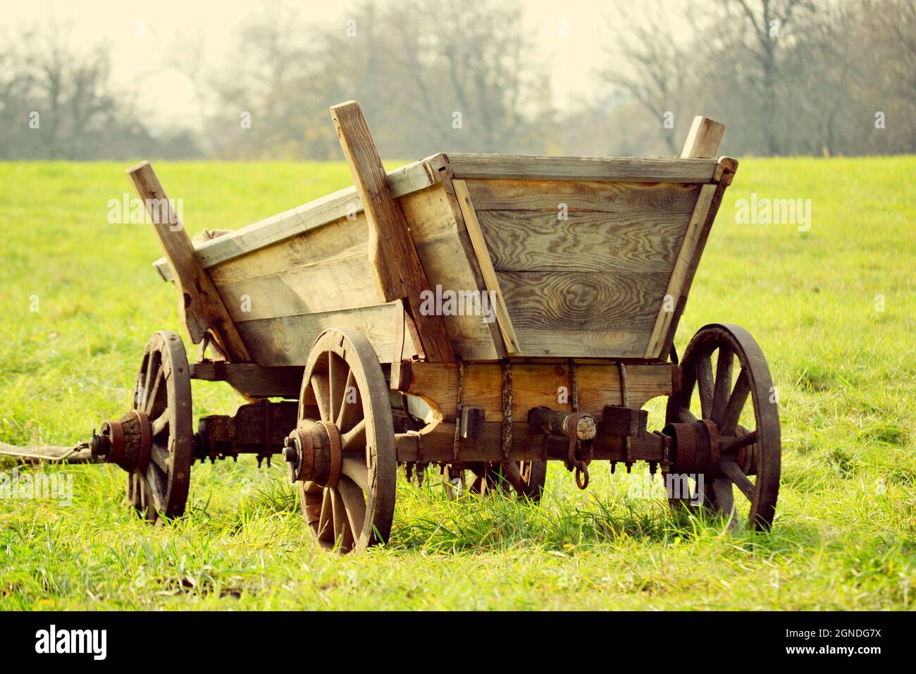 old cart on the field Stock Photo - Alamy