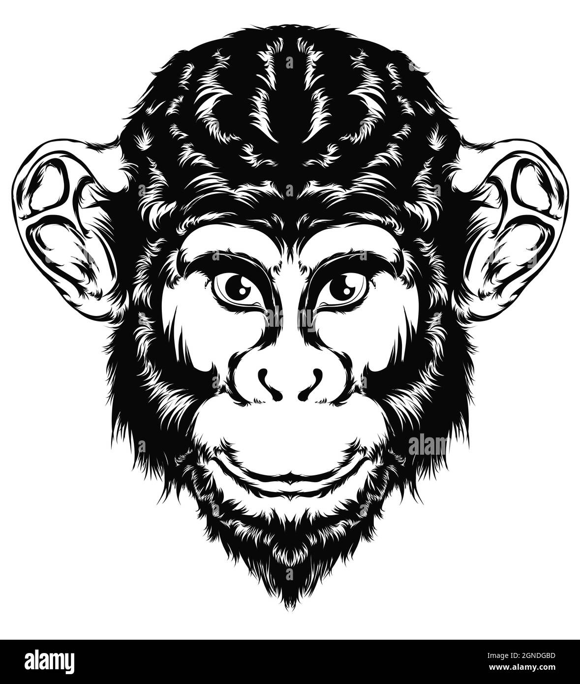 Beautiful illustration of a monkey done in high contrast Stock Photo ...